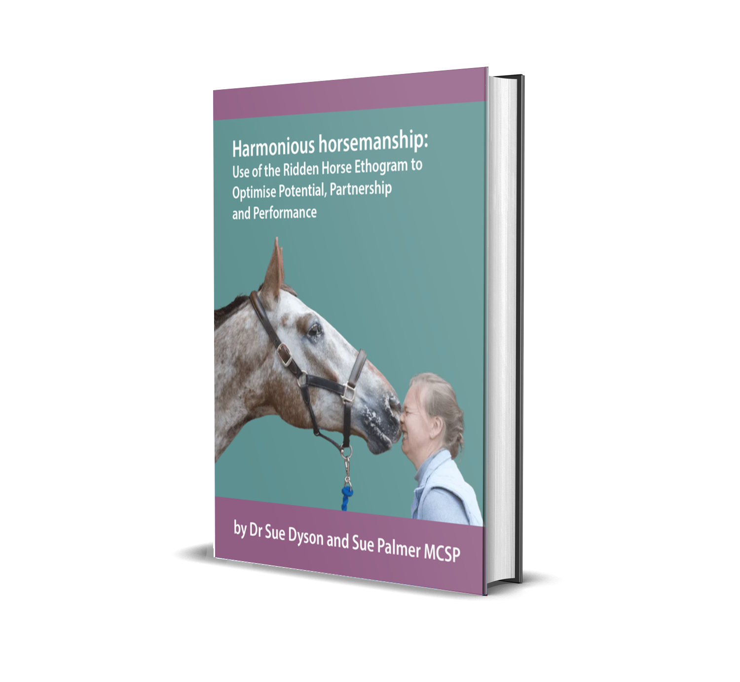 Recognising Pain in Ridden Horses – a Sue Palmer, The Horse Physio site