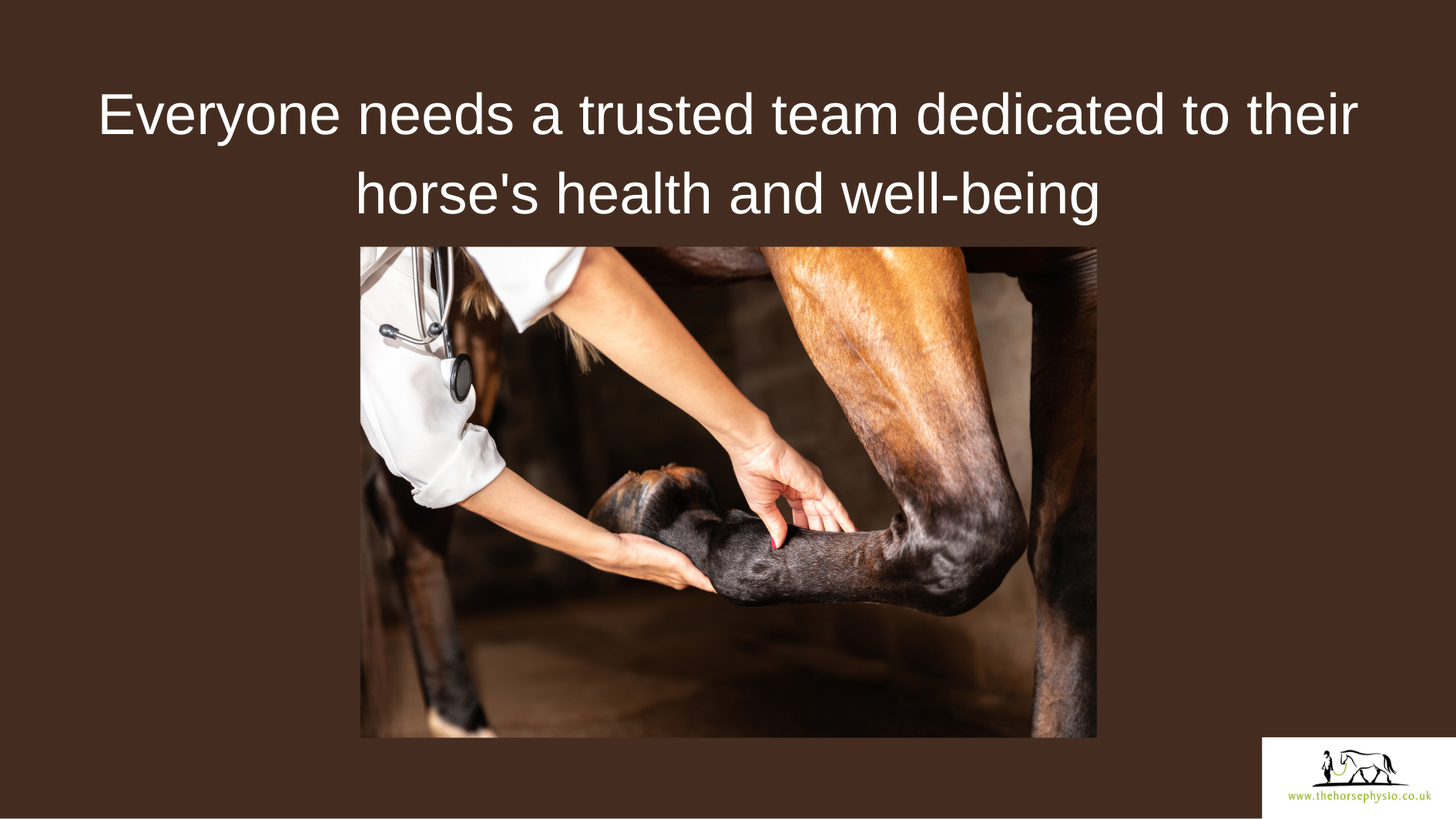 Everyone horse owner needs a trusted team dedicated to their horse's ...